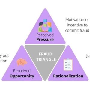 Fraud Risk Framework Definition – Economy GDP