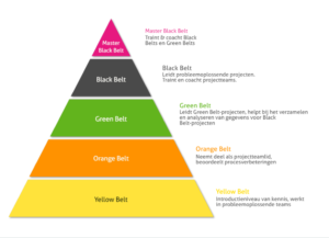 Lean six sigma belts pyramid – Economy GDP
