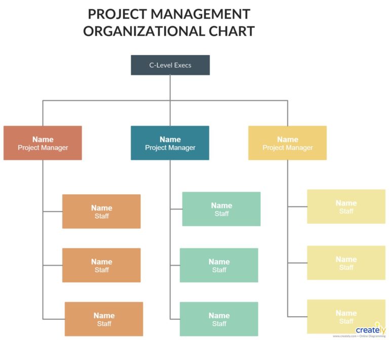 Project Management Organizational Structures You Can Edit This ...